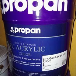 Jual PROPAN PU ACRYLIC. PUC 786 WHITE. PUSS PUSF PUL 765 polyurethane ...