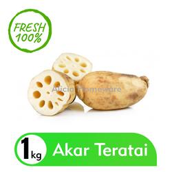 Jual Akar Teratai Lotus Root 500 g - Jakarta Utara - Healthy By Tasty ...