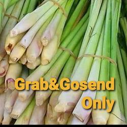 Jual Batang Sereh Segar 1Kg / Serai segar 1 kg - Kota Bandung - cihuni ...