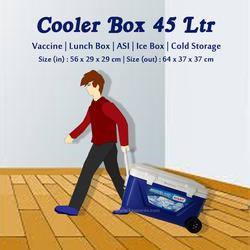 Jual GIANT Cooler Box 25 Liter / Cool Box Besar - 25L - Jakarta Utara ...