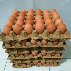 Jual Telur Ayam / Telor Ayam Satu Tray Isi 30 Butir - Jakarta Selatan ...