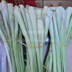 Jual Batang Sereh Segar 1Kg / Serai segar 1 kg - Kota Bandung - cihuni ...