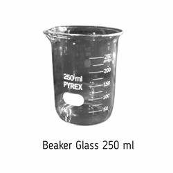 Jual Beaker Glass 250ml Pyrex - Kab. Bogor - Sheenaz_Store | Tokopedia