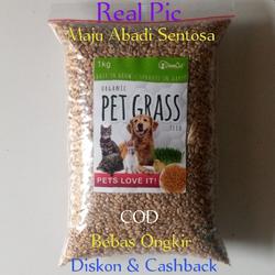 Jual Bibit / Benih /Seeds Wheatgrass Rumput Gandum Meningkatkan ...