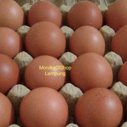 Jual Telur Ayam Negeri per 1 kg Curah Segar dari Kandang NKV - Jakarta ...
