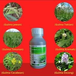 Jual TRENDY 20 WP herbisida mengendalikan gulma pada tanaman padi,sawit ...