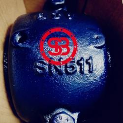 Jual PLUMMER BLOCK / BEARING HOUSING SN519 / SN 519 ASB - Kota Surabaya ...