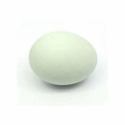 Jual TELUR BEBEK MENTAH per butir - Kab. Sleman - AYO BELANJA AYO MASAK ...