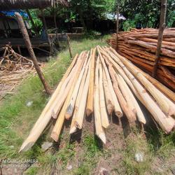 Jual Kayu Dolken 8/10 400cm - Kab. Bogor - MUDA JAYA MANDIRI KAYU ...