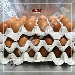 Jual Telur Ayam Negeri per 1 kg Curah Segar dari Kandang NKV - Jakarta ...