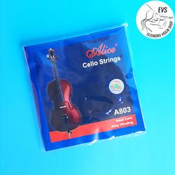 Jual 12Pcs Senar String Cello Alice A804 4/4 Nylon Core - - ZebStore Wholesale | Tokopedia