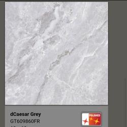 Jual ROMANGRANIT dCaesar Grey 60x60 GT609860FR (ROMAN GRANIT) - Jakarta ...