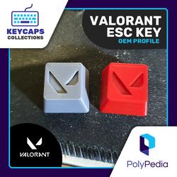 Jual Valorant Logo Resin Keycaps / Keycap - Hitam, OEM - Kab. Tangerang ...