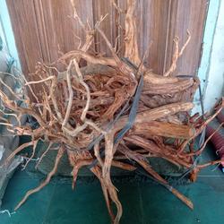 Jual akar rasamala aquascape ukuran L - Kab. Bogor - Ahmadaquatic ...