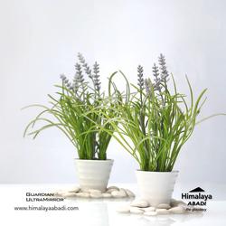 Jual Kaca Cermin Euro Grey - Cermin Grey - Guardian UltraMirror Grey ...
