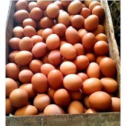 Jual Telur Ayam / Telor Ayam Satu Tray Isi 30 Butir - Jakarta Selatan ...