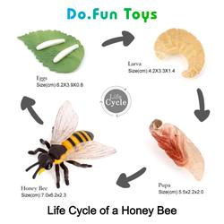 Jual Animal Figure Life Cycle of a Sea Turtle / Siklus Hidup Penyu Laut ...