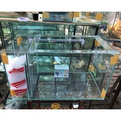Jual AQUARIUM SET UKURAN 60x30x35cm - Jakarta Selatan - Denny Aquarium ...