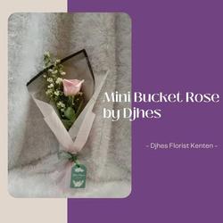 Jual Buket Mawar asli premium/Bucket Bunga Asli Mawar Baby breath ...