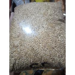 Jual PAKAN MAKANAN BURUNG HARIAN KENARI SEED CANARY SEED VITA REPACK 1 ...