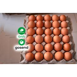 Jual Telur Ayam / Telor Ayam Satu Tray Isi 30 Butir - Jakarta Selatan ...