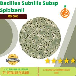 Jual Bakteri Bacillus cereus, strain : ATCC 10876 (1 vial) - Kota Bogor ...