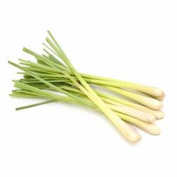 Jual Batang Sereh Segar 1Kg / Serai segar 1 kg - Kota Bandung - cihuni ...