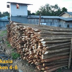 Jual kayu dolken puspa / medang diameter 4/5/6 panjang 4m - Jakarta ...