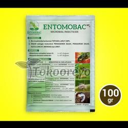 Jual METARIZEP WP 50 GRAM PER SACHET BIO INSEKTISIDA - Jakarta Barat ...