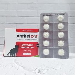 Jual Anthel Cat 1 Tablet - Obat Cacing Kucing by Kalbe [ORIGINAL ...