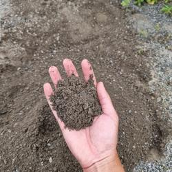 Jual Pasir Cor/ Pasir Beton Cimalaka (Per Colt/ 1 Kubik) - Kota Bandung ...