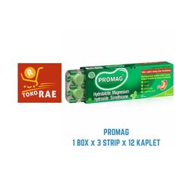 Promo Promag Tablet Obat Sakit Maag dan Kembung 1 box @ 3 Blister - 1 ...