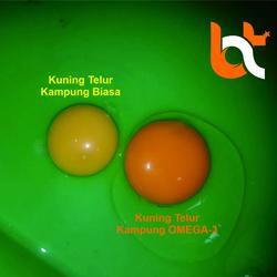Jual Telur Ayam / Telor Ayam Satu Tray Isi 30 Butir - Jakarta Selatan ...