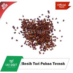 Jual BIJI/ BENIH Turi Putih Tanaman Pakan Ternak - Kab. Purworejo - CV ...