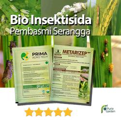 Jual METARIZEP WP 50 GRAM PER SACHET BIO INSEKTISIDA - Jakarta Barat - TOKO OREYO | Tokopedia