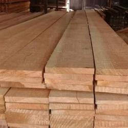 Jual Papan meranti 2 x 20 cm x 4 mtr 1m3 - Kota Tangerang Selatan - TB ...