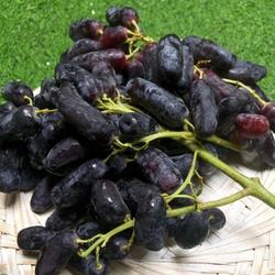 Promo Buah Anggur Hitam Panjang/Sweet Sapphire Seedless/Moondrops 1 Dus ...