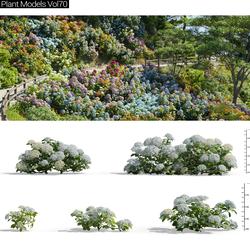 Jual Maxtree Plant Models Vol 72 - Kota Manado - ANAK TEKNIK SHOP ...