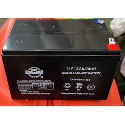 Jual Battery aki ACCU kering VRLA NP12-12/battery ARD Yuasa 12V 12AH ...