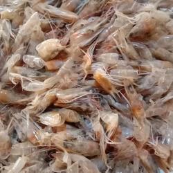 Jual kepala udang campur kulit 1000gram - Jakarta Barat - samudrapasar ...