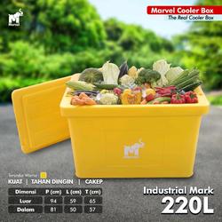 Jual Cooler Box 50 Liter Kotak Pendingin Cool Ice Box Penyimpan Es ...