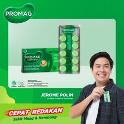 Promo Promag Tablet Obat Sakit Maag dan Kembung 1 box @ 3 Blister - 1 ...