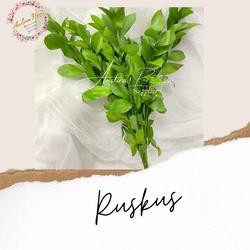 Jual daun ruskus - Kota Depok - toko bunga depok andi florist | Tokopedia