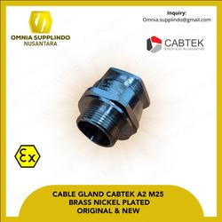 Jual Cable Gland CABTEK A2F M25 Brass Nickel Plated (BNP) - Jakarta ...