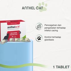 Promo Anthel Cat 1 Tablet - Obat Cacing Kucing by Kalbe [ORIGINAL ...