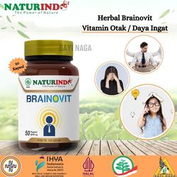 Jual Obat Herbal BRAINOVIT Naturindo (Spesial Nutrisi Otak ...