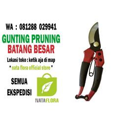 Promo GUNTING STEK TAMAN POTONG DAHAN TANAMAN PEMOTONG RANTING POHON ...