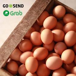 Jual Telur Ayam / Telor Ayam Satu Tray Isi 30 Butir - Jakarta Selatan ...