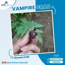 Jual Kepiting Aquascape / Vampire Crab - Kota Tangerang - CGK Online ...