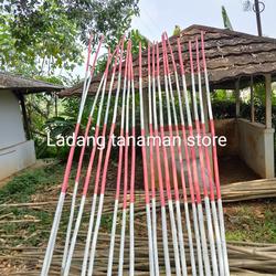 Jual Bambu Umbul-umbul Tiang Bendera Merah Putih Tongkat Bambu Tiang ...